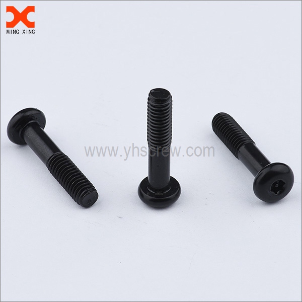China Custom captive torx security screws manufacturer Manufacturer and ...