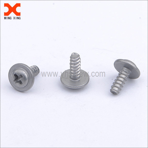 China SS410 cross recessed self tapping washer head screws Manufacturer ...