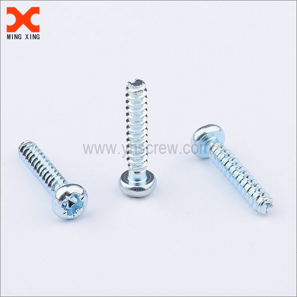 China White zinc plated plastic thread forming screws Manufacturer and ...