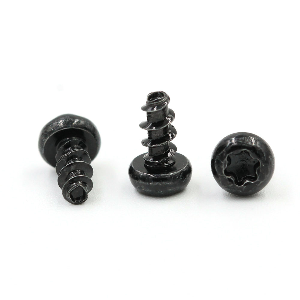 China Custom Black Torx Pan Head Self-Tapping Screws For Plastic ...