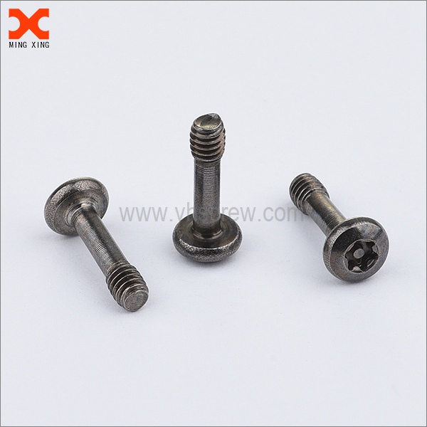China Stainless steel captive pin torx security screws Manufacturer and ...