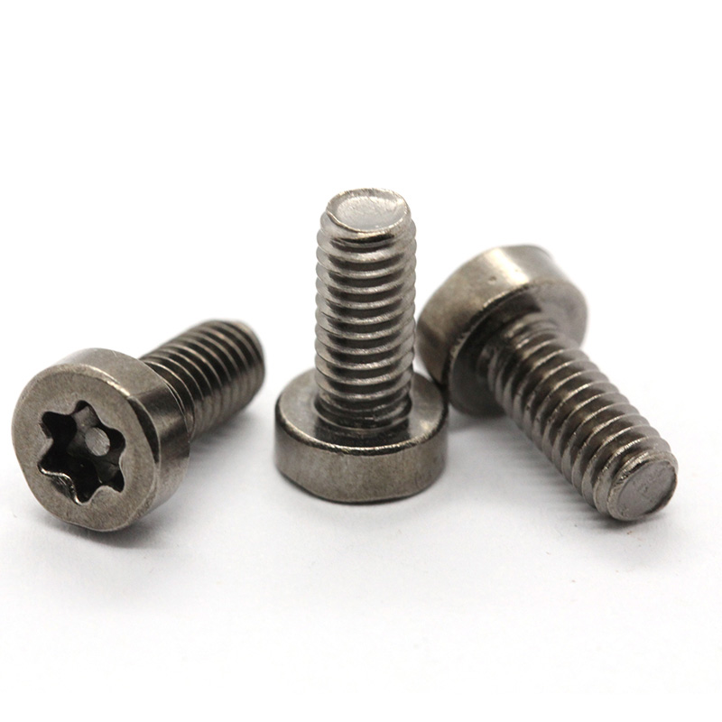 China Custom black nickel security screws and bolts manufacturers ...